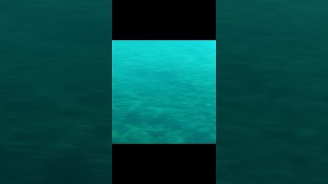 Экскурсия на яхте по Красному морю. Египет. Июль 2023.