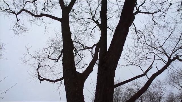 Дудергофка в феврале. СПб