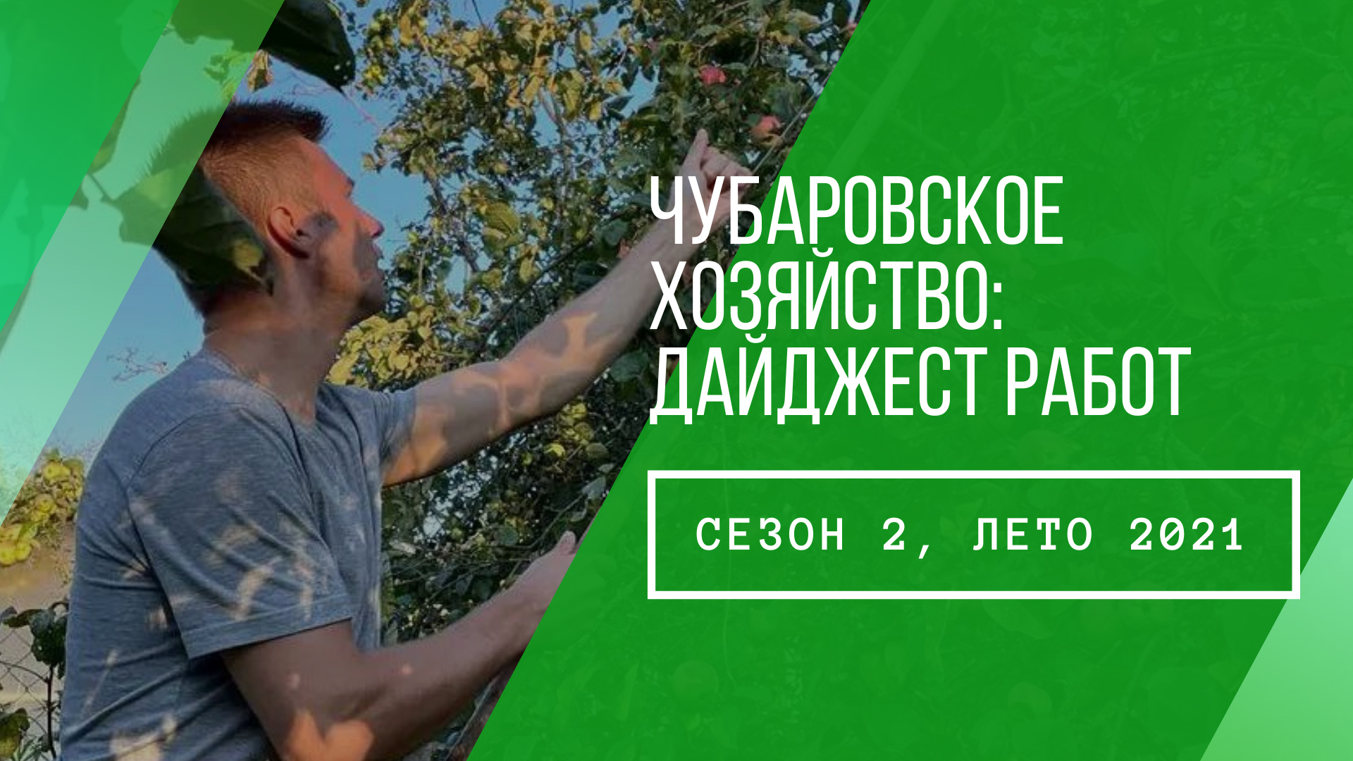 Дайджест работ, сезон - 2021