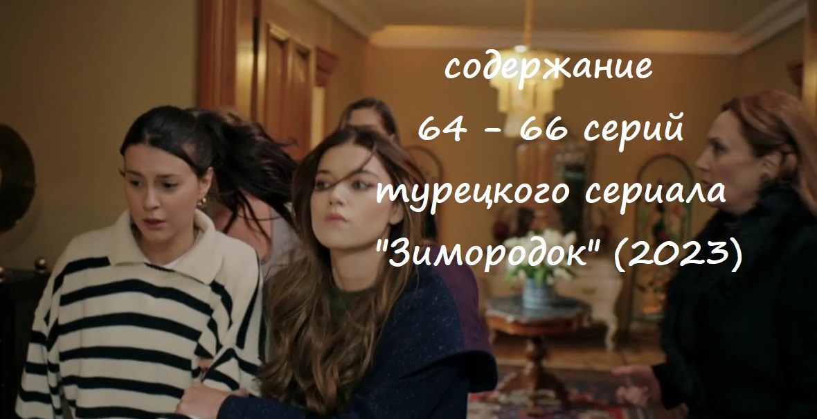 Содержание 64, 65 и 66 серий турецкого сериала "Зимородок" (РФ, 2023)
