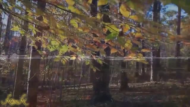 Музыка Татьяны Снежиной. Последний день осени.