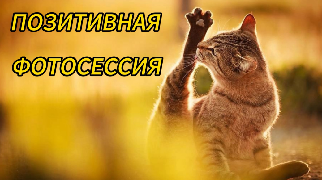 ПОЗИТИВНАЯ ФОТОСЕССИЯ
