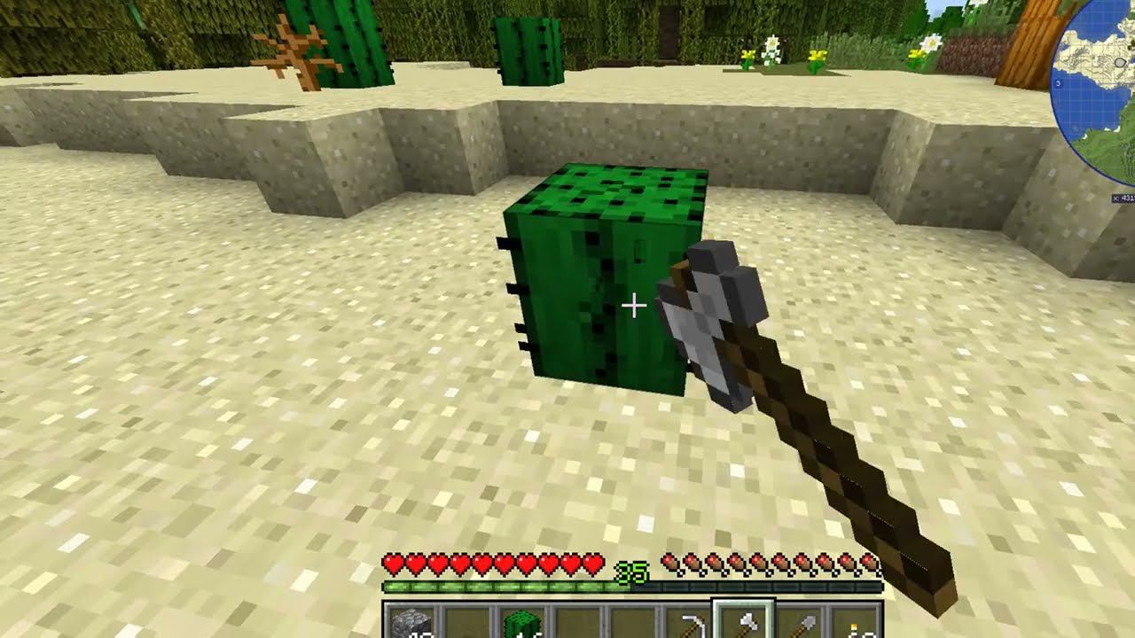 Моё путешествие за кактусом 8