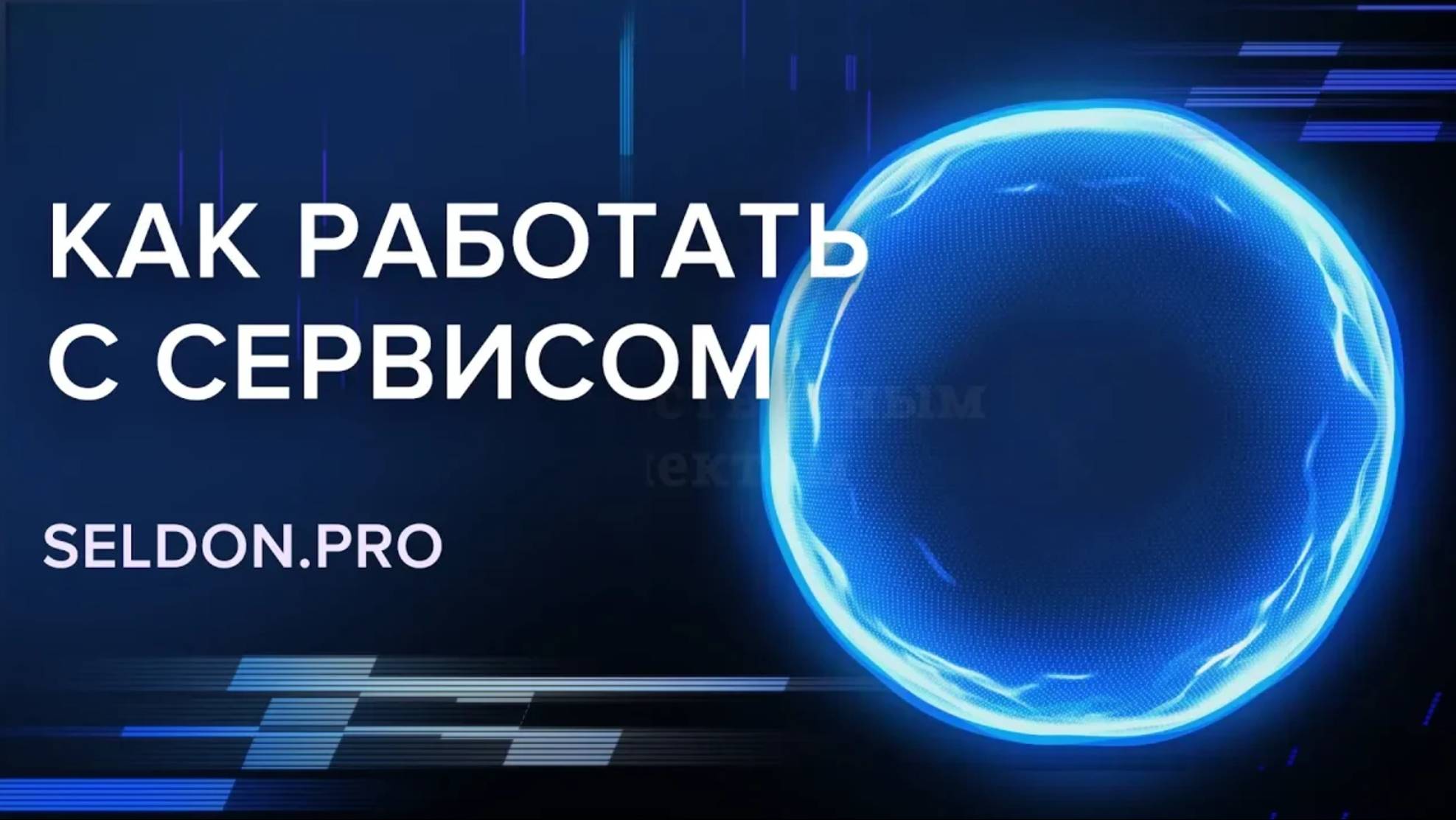 Работаем с Seldon.Pro