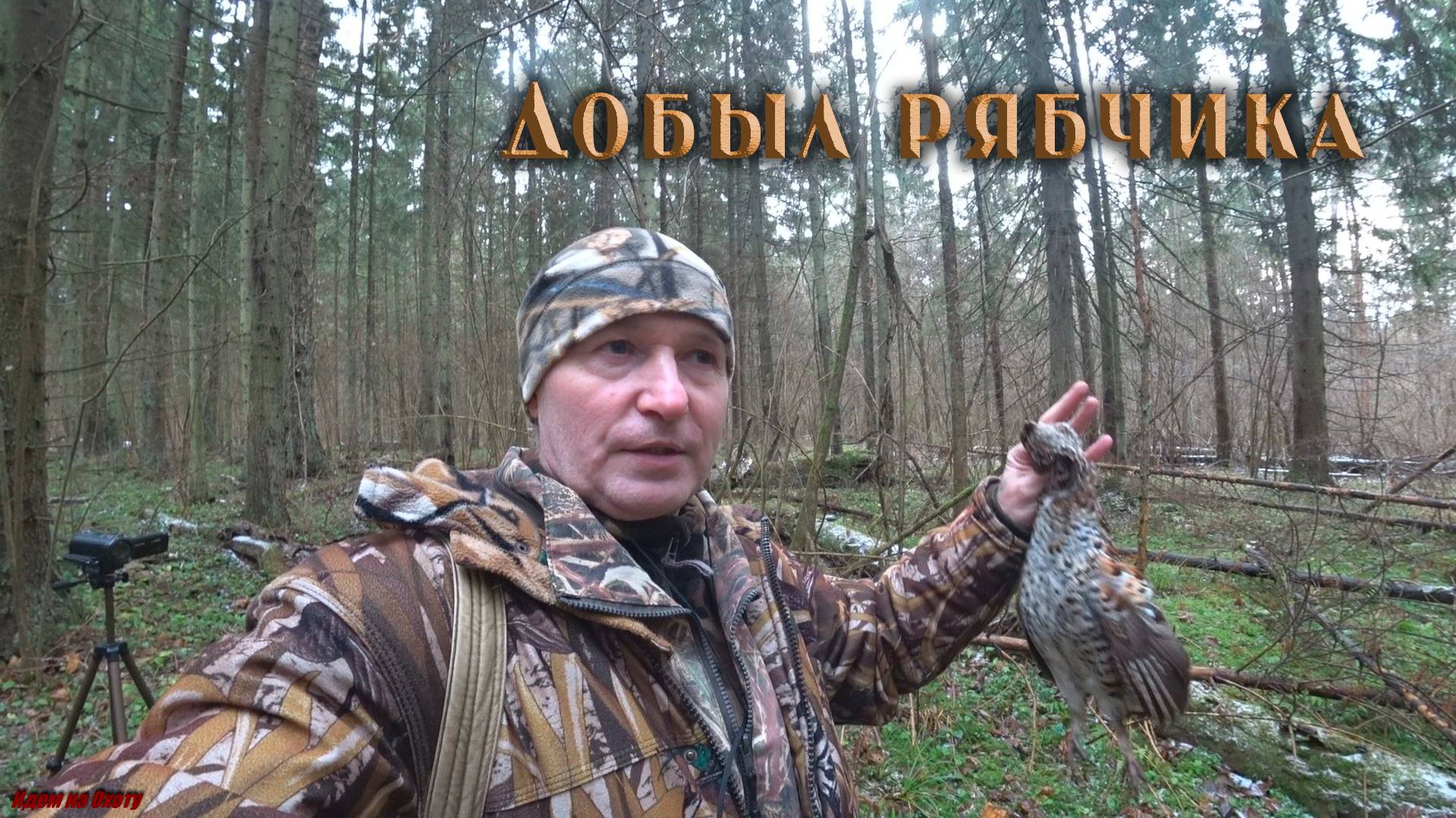 Охота на рябчика с манком. Удивительный случай