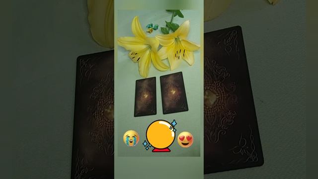 Проверьте свою интуицию 1