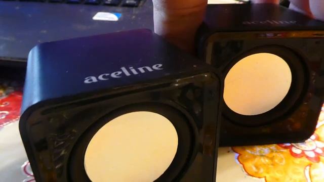 USB колонки для компьютера или ноутбука - Обзор USB колонок Aceline ASP 100. Aceline - бренд ДНС.