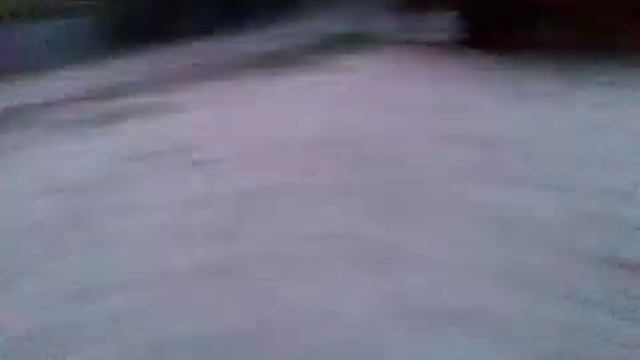 Сериал ИМРК 148 — Прогулки с собаками с Иваном Краснояровым