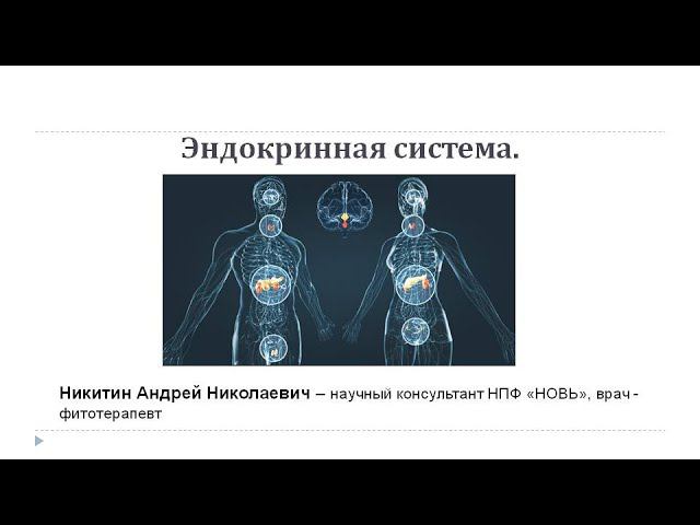 Литовит  в эндокринологии 1