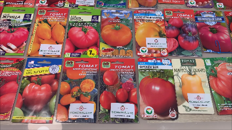 Томаты крупноплодные и очень интересные сею в 2024 году.