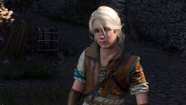 сериал Ведьмак: Дикая Охота #1