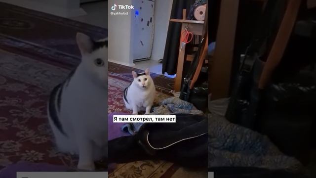 Когда  Всегда #мужжена.mp4