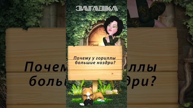 Загадка 1019.mp4