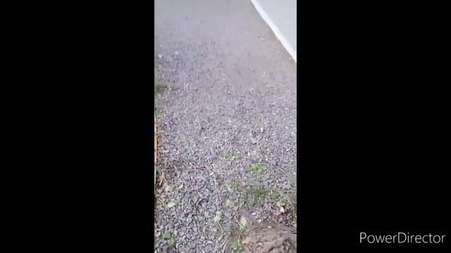 11.05.2023, гуляли. Наездилась на кораблике до тошноты)))