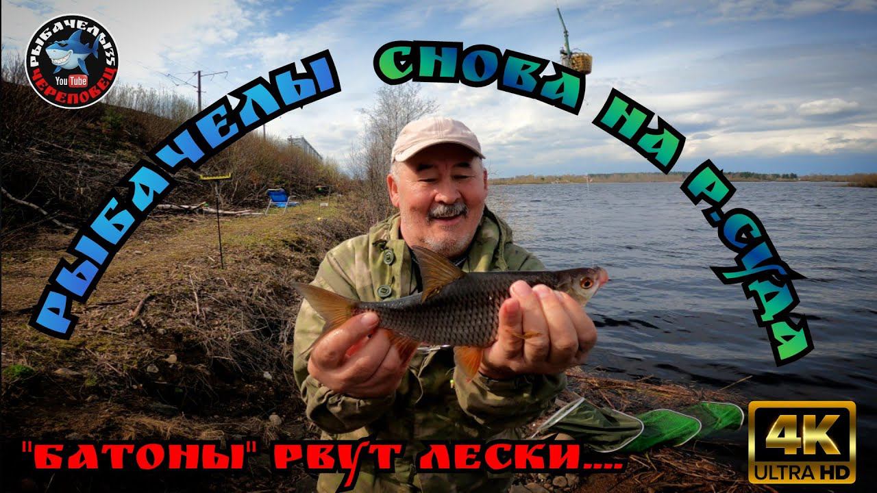ОГОНЬ Рыбалка В "4К" На р.Суда!!! БАТОНЫ ЛОМАЮТ ФИДЕРА и РВУТ ПОВОДКИ!!!БАТЯ ДЕЛАЕТ ВЕЩИ
