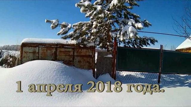 Сибирь матушка