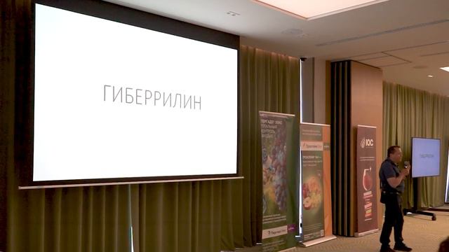 Пинчук Александр опыт Пуршейд