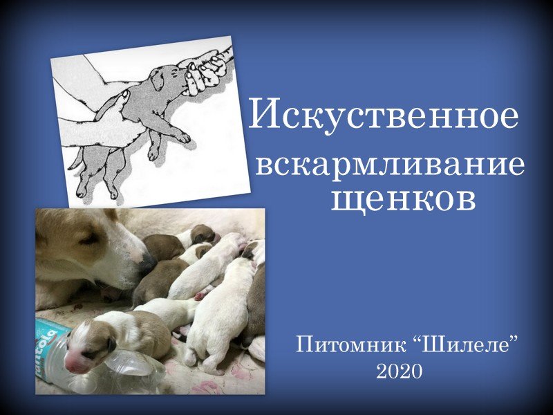 Исскуственное вскармливание щенков от рождения