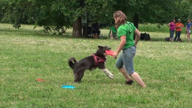 Frisbee Freestyle Елена и Мыша.mp4