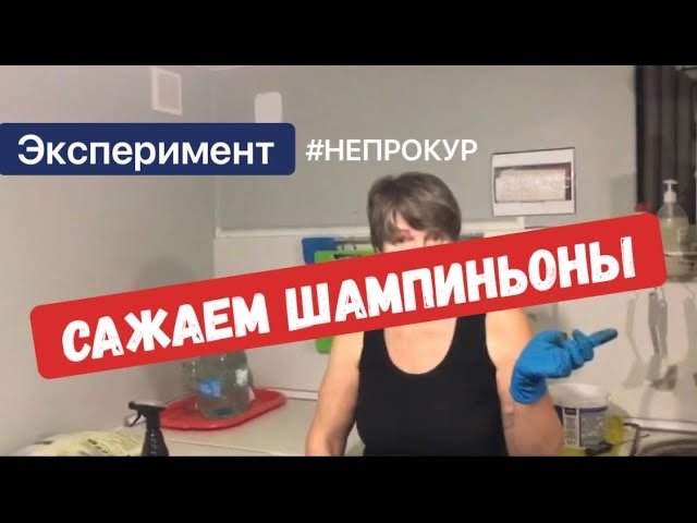 Сажаем шампиньоны. Без инструкции. Эксперимент.