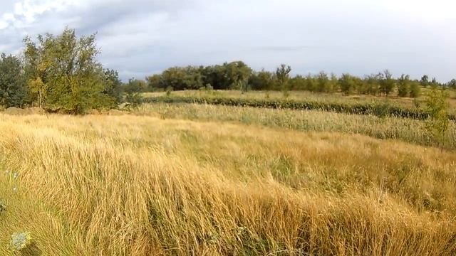 (18 ) ТЯЖЁЛОЕ ОТКРЫТИЕ НА УТКУ (сезон - осень - 2018).mp4