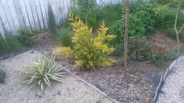 Вечерняя прогулка по парку Укромный. Обзор 16.05.22.