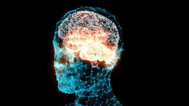 тело-ПРОВОДНИК