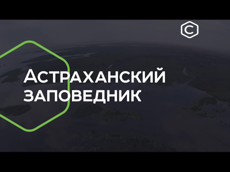 Астраханский заповедник