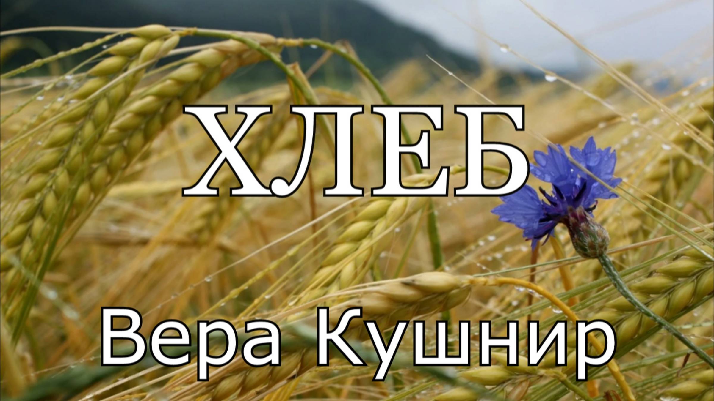 Вера Кушнир. - стих " Хлеб."