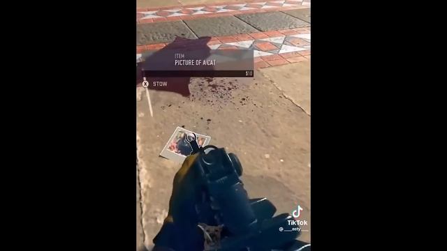 Смешные видео с животными 2023