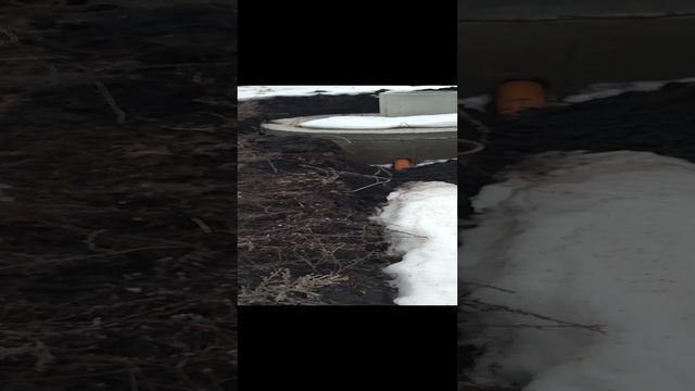 И люди такое покупают? Не конструктив.