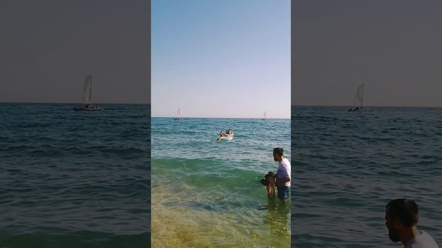 Чёрное море Сегодня! Благовещенская