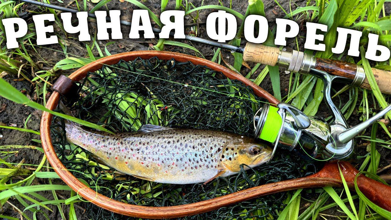 Речная форель. Рыбалка в Ленинградской области. Май 2024.