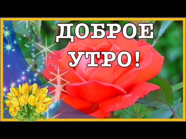 ДОБРОЕ УТРО! Очень красивое пожелание с добрым утром и отличным днем