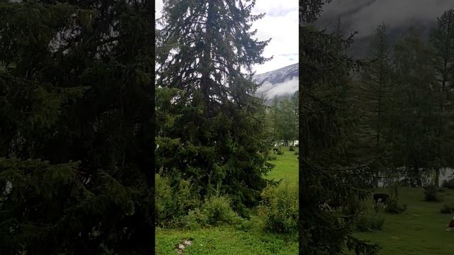 Первый снег на Алтае. Август 2022.