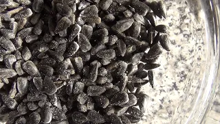 Как правильно жарить семечки