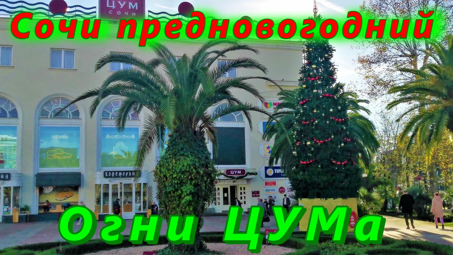 Предновогодний Сочи 2022/ Разнообразные, красочные огни ЦУМа и новогодняя елка