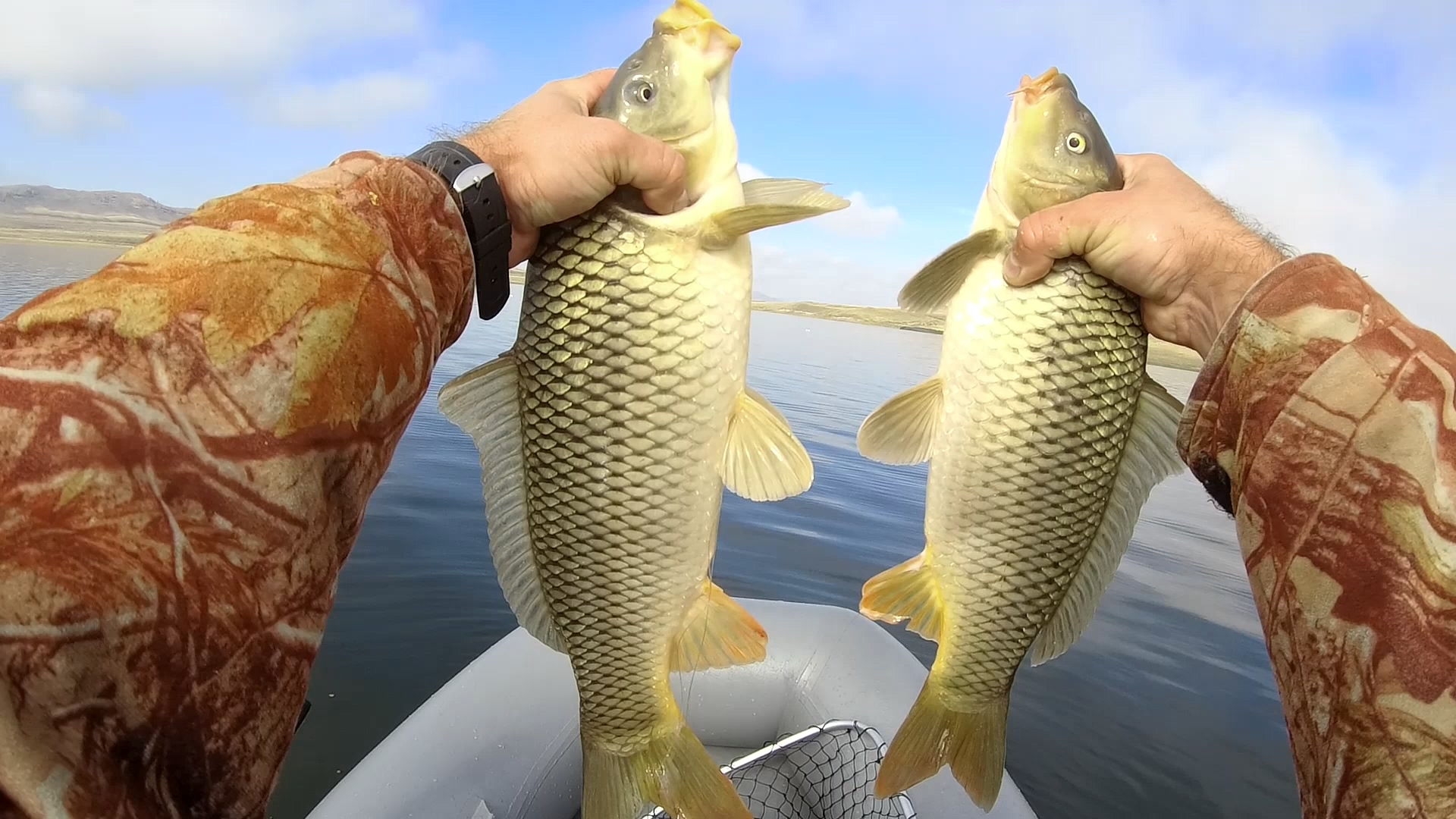 ЖОР САЗАНА ОСЕНЬЮ | ПЕРЕВЁРТЫШИ (ПОСТАВУХИ) | РЫБАЛКА НА ЗАЛИВАХ КРАСНОЯРСКОГО ВОДОХРАНИЛИЩА|Часть-1