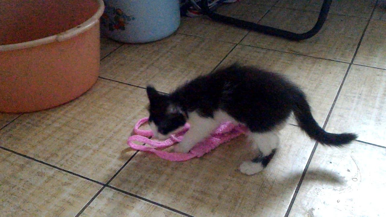 Тимка моет пол