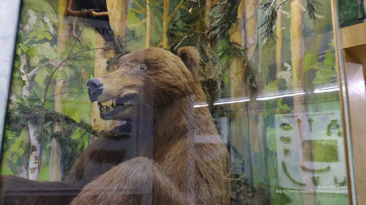 Колпашево, Музей, 3 часть