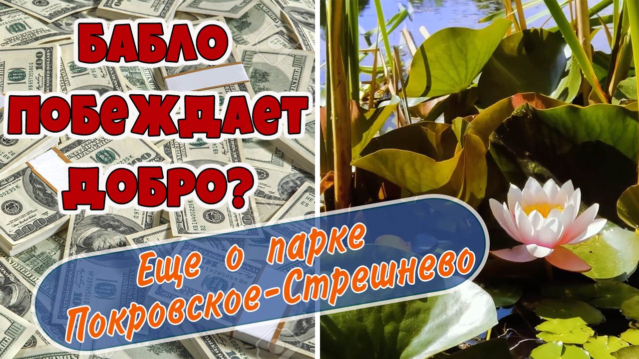 Споры вокруг парка не утихают. Покровское-Стрешнево противостояние.