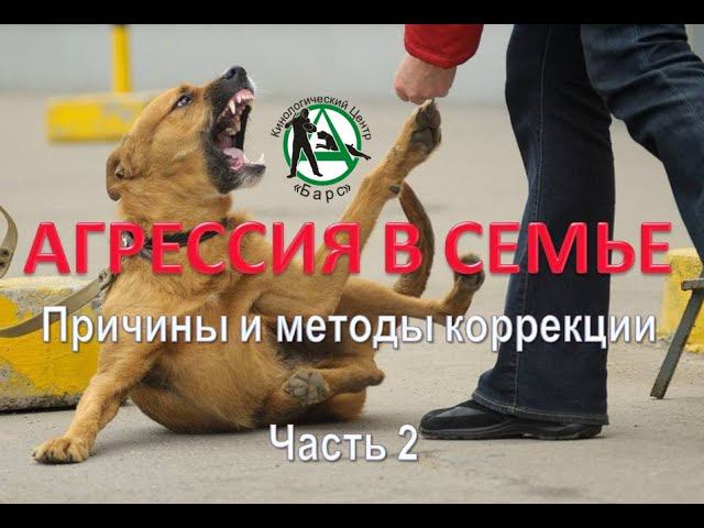 АГРЕССИЯ В СЕМЬЕ.  Часть 2
