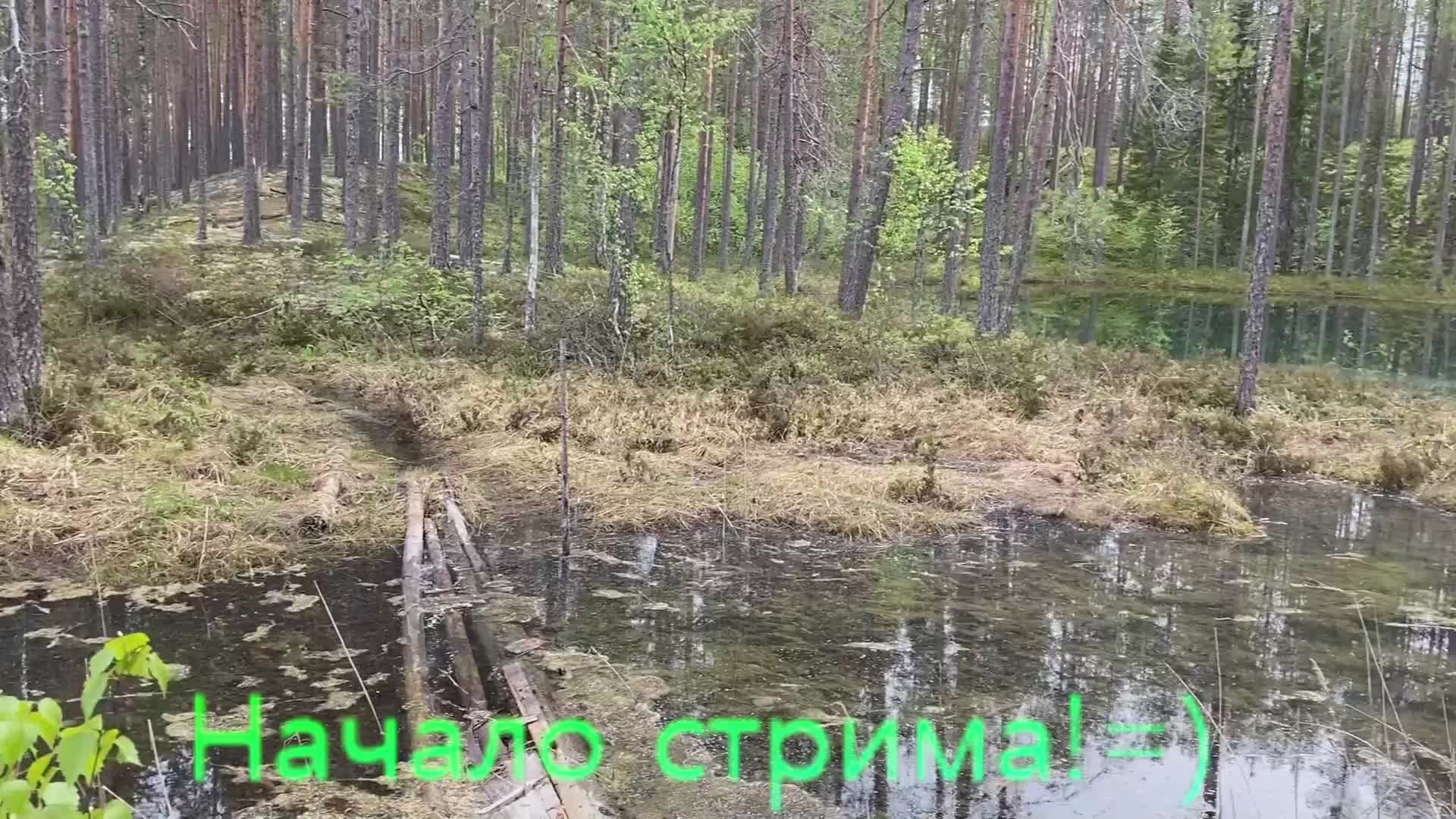 Забег в соло в топ=)