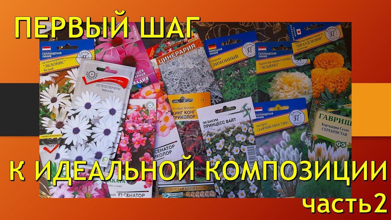 Обзор рассады цветов из семян - 2024. Первый шаг к идеальной композиции. Часть 2