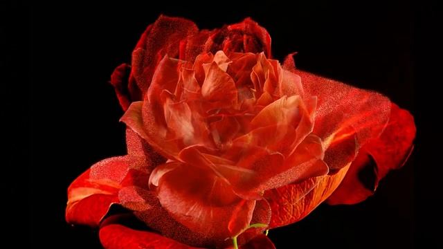 Дюймовочка 3. Оригинальная анимация цветка по мотивам сказки _Дюймовочка_