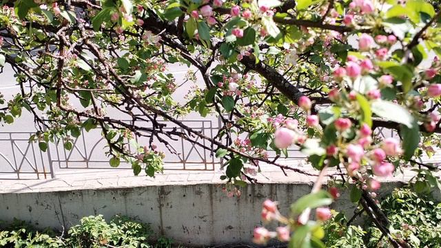 Нижнекамск, Татарстан