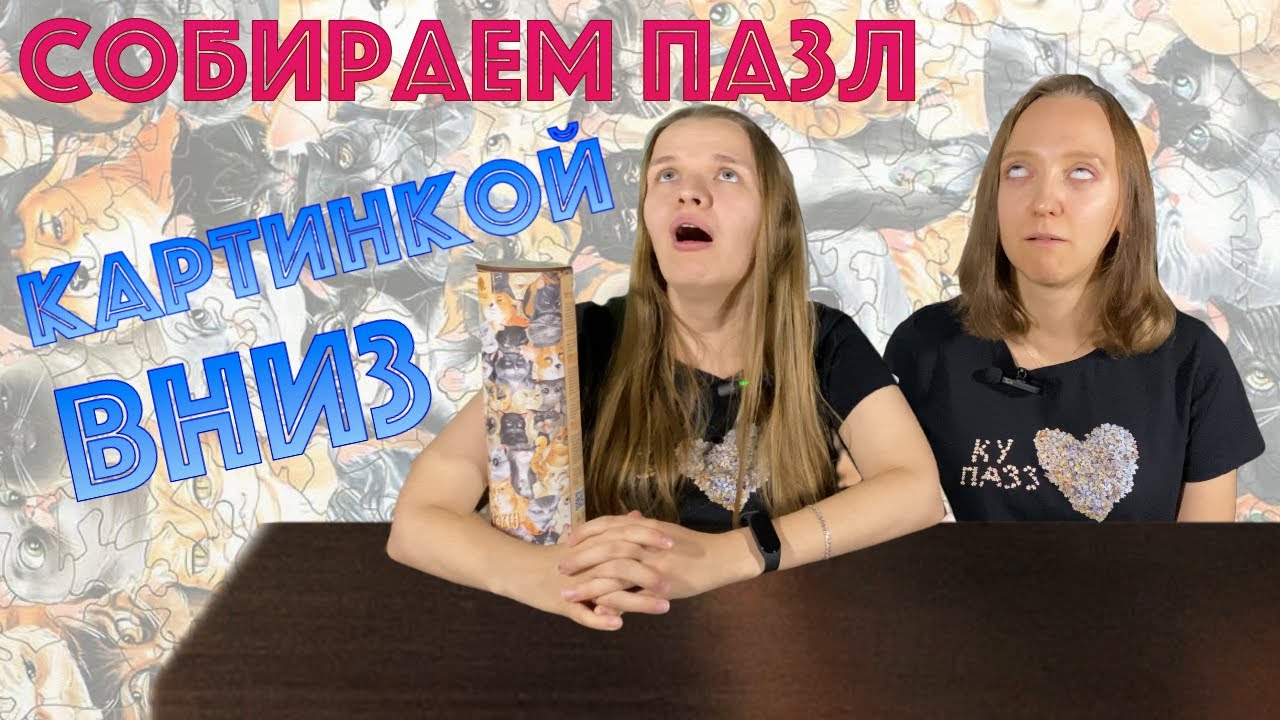 #СПЕЦВЫПУСК 250? PIECEZZ "Кошачья вечеринка" | #КуПазз