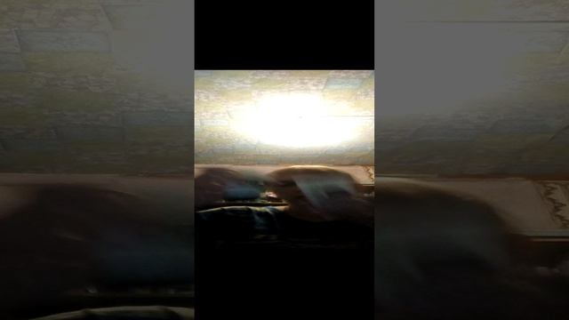 Посылочка (каталог № 1).mp4