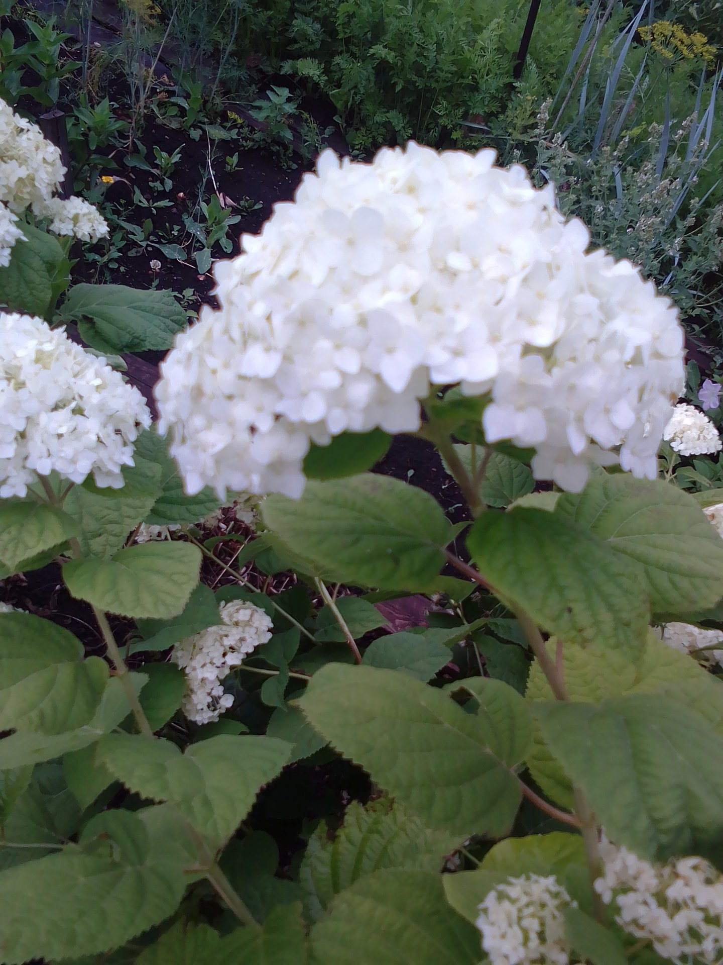 ремонт домика в 2022