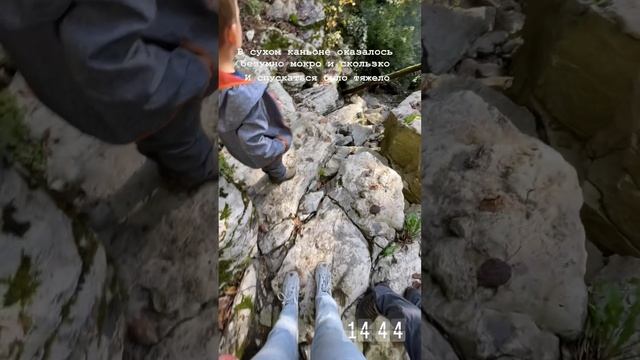 Сочи октябрь ‘23